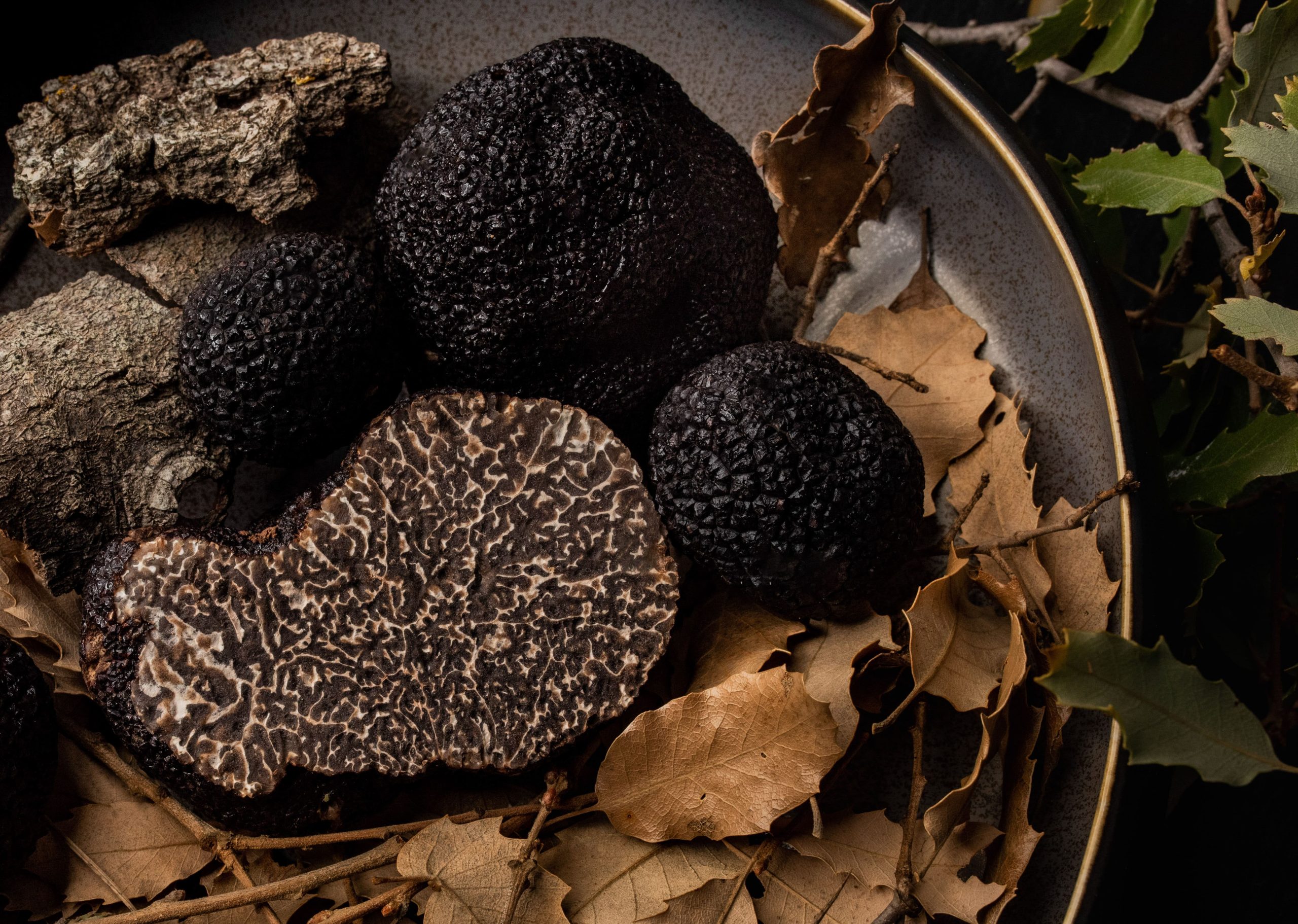 Cómo cocinar con trufa negra: deliciosas recetas y consejos